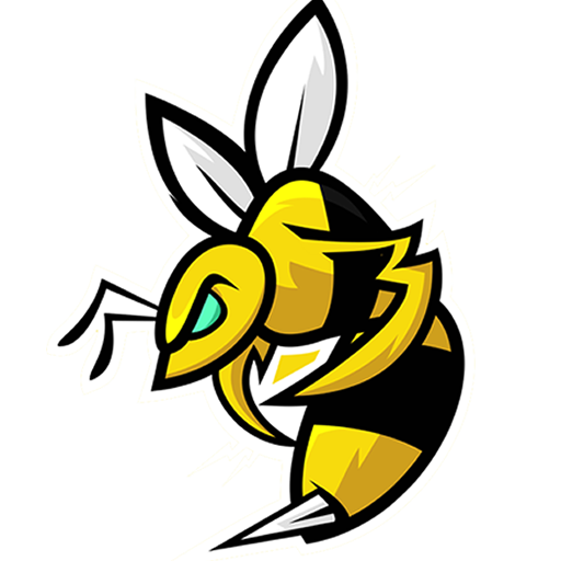 StingBox Setup Guide: Quick & Easy Installation